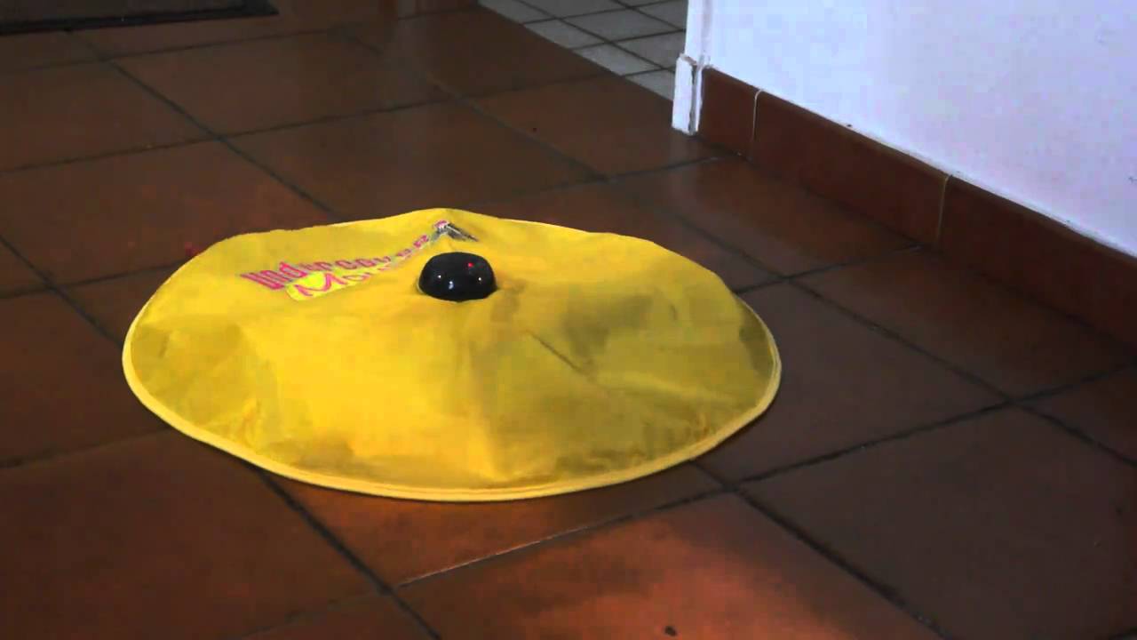 undercover-mouse-start.MP4 - YouTube