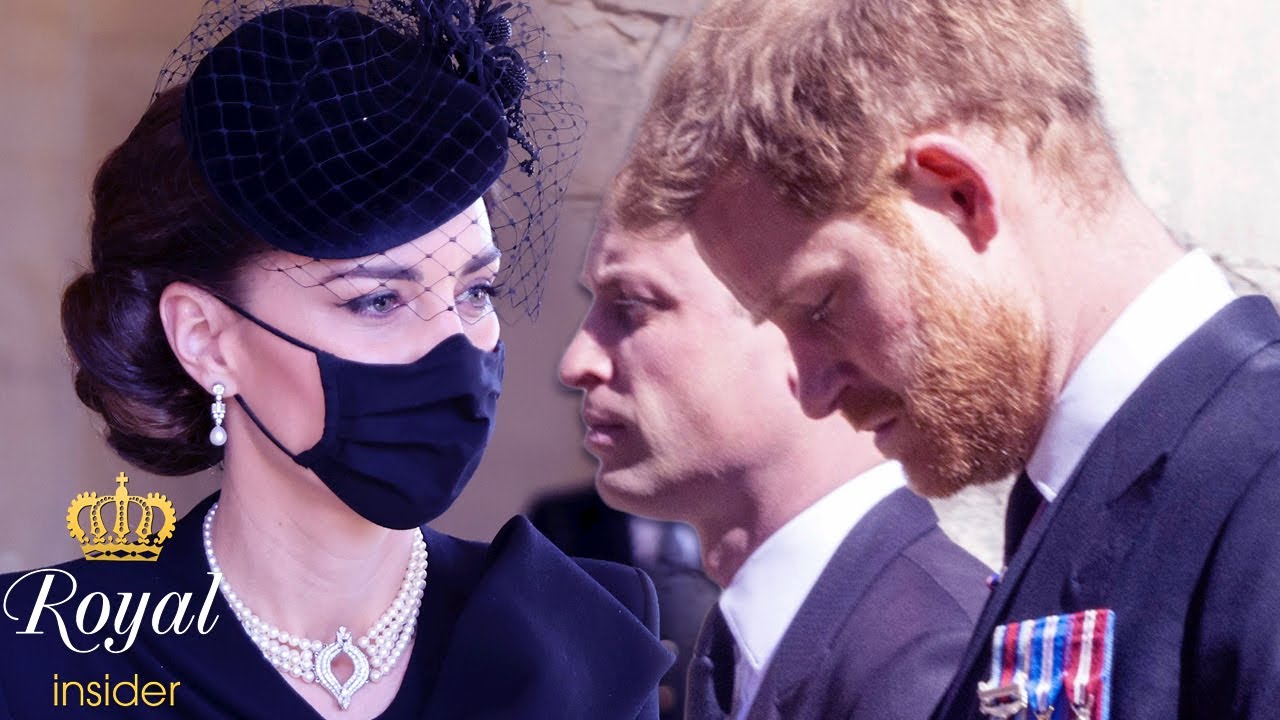 Experts were full of praise for Catherine for cleverly mediating Harry ...