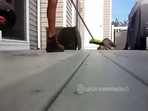 Ana Söyüşü Söymə Əəə C...