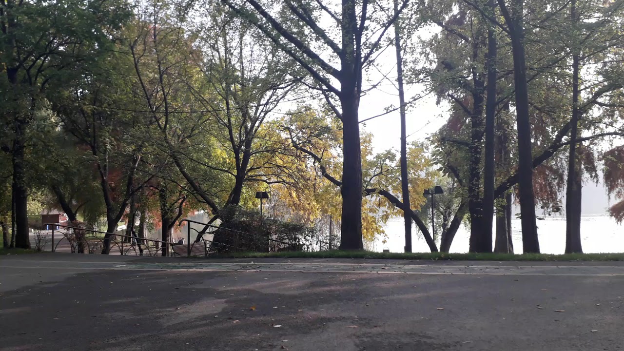 NG„Pandele”(Ion Pribeagu)(26 10 19) - YouTube