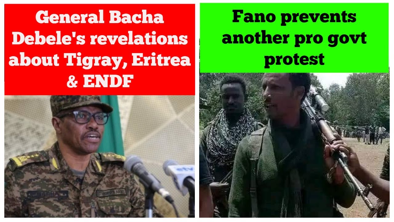 General Bacha Debele's revelations about Tigray, Eritrea & ENDF |Fano ...