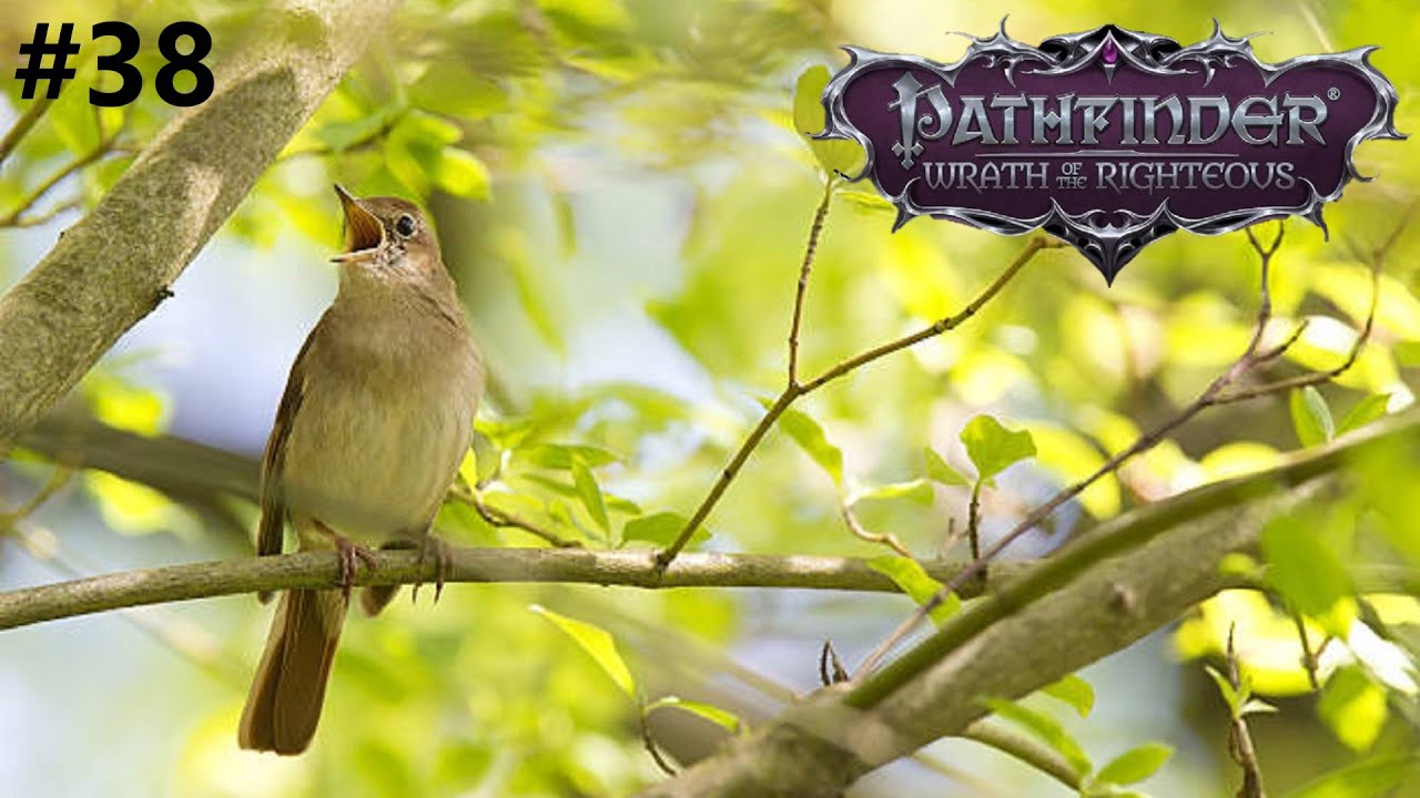 #38 Drow Ambush plus Nightingale Grove | Pathfinder: Wrath of the ...