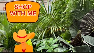 Houston Home Depot Plants Do It Big:#plants #shopping #cactussucculents #homedepot 