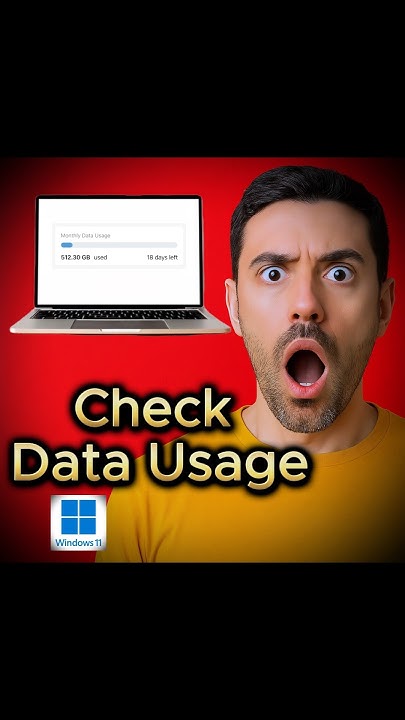 How to Check Data Usage on PC (Windows 11/10) | Stop Internet Drain! 🚀 ...