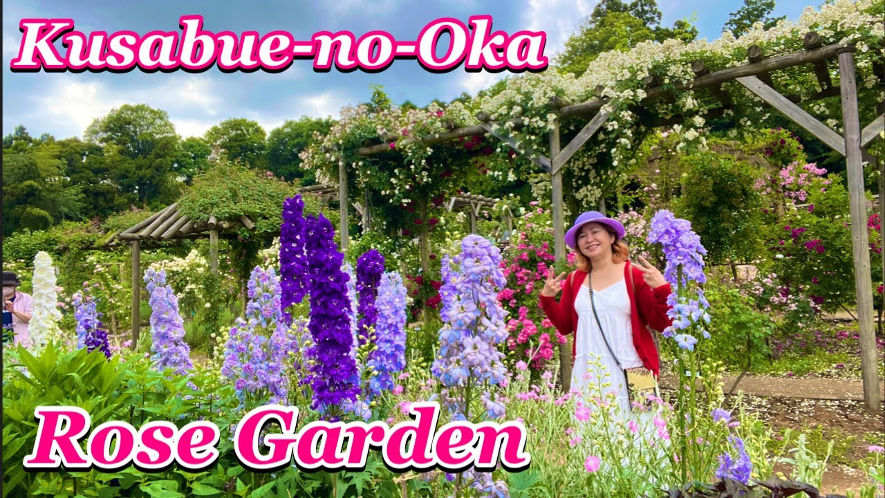 Rose Festival in Sakura Kusabue-no-Oka #rose #rosegarden - YouTube