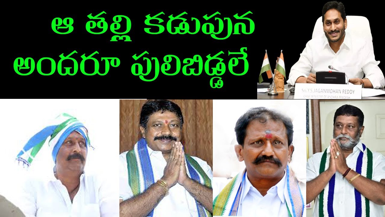 ఆ తల్లి కడుపున అందరూ పులిబిడ్డ లే #S.V.S.Reddy# Swetchha Media#jagan# ...