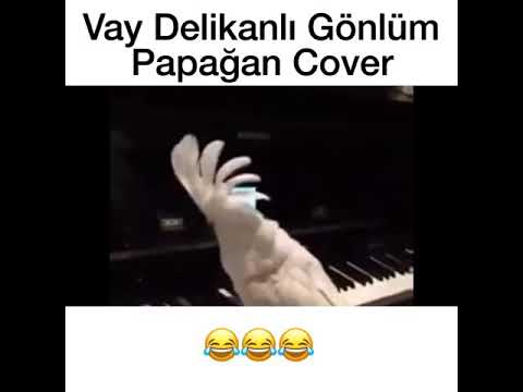 Amerikan dublaj American Dublaj Veysel Zaloglu