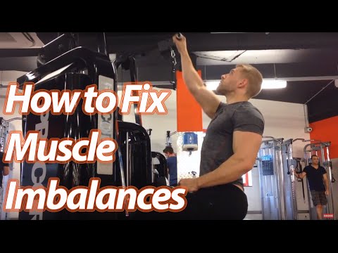 Exercises for Back Muscle Imbalances - Fitness | NoahStrength.com