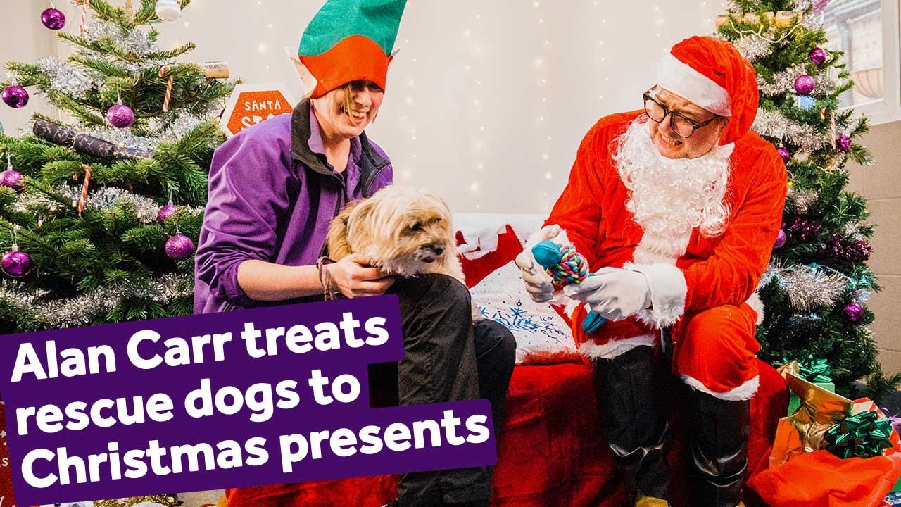 Alan Carr Treats Rescue Dogs To Christmas Presents | Mayhew - YouTube