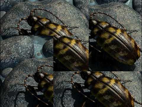 Multi View - Blitz3D - YouTube