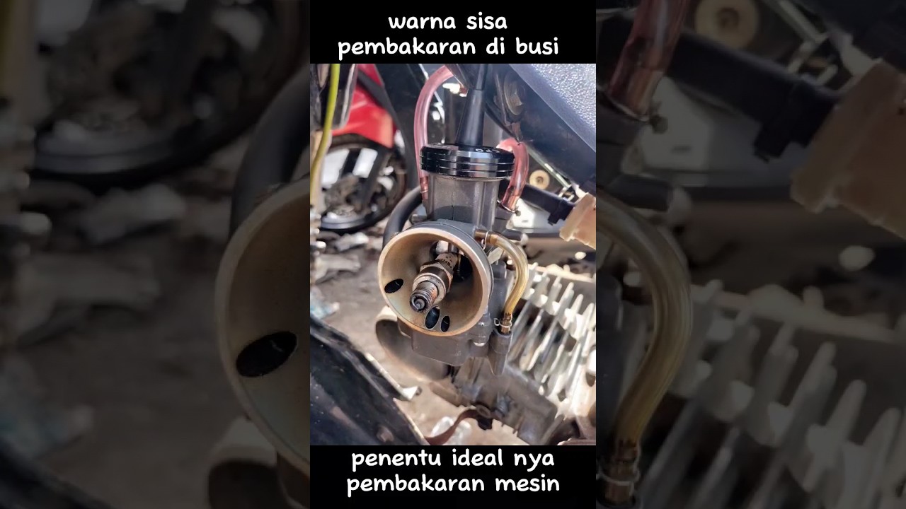 WARNA BUSI PUNYA BAGIAN PENTING DALAM MEMAKSIMALKAN SEBUAH PEMBAKARAN 👩 ...