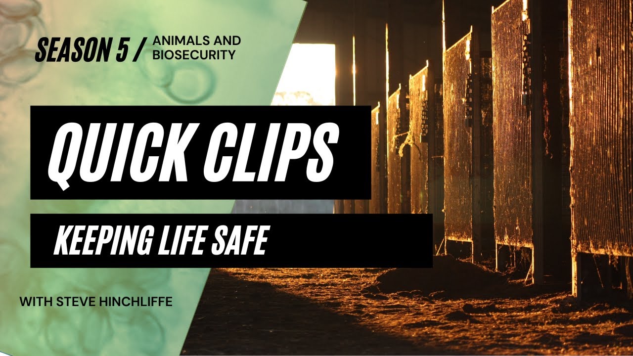 S5E1 - Quick Clip - Making Life Safe with Steve Hinchliffe - YouTube