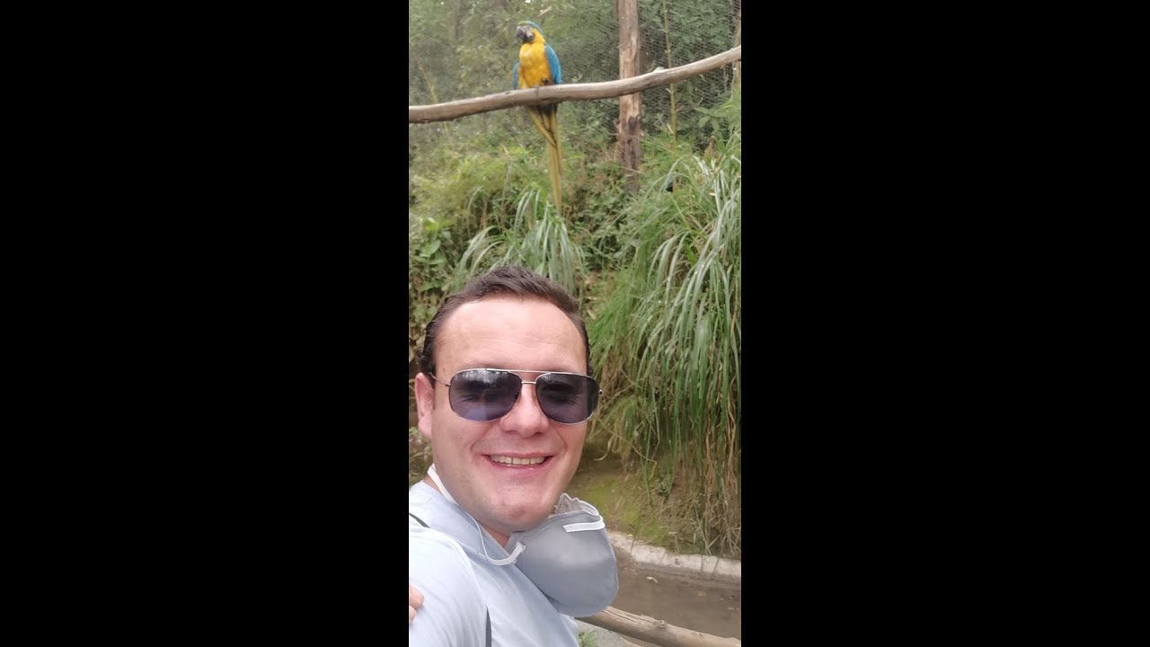 La Depresión y La Ansiedad / Hugo Navas-Coach - YouTube