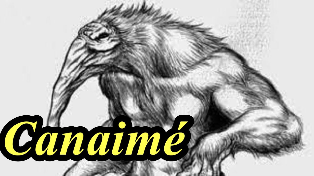 Canaimé - YouTube
