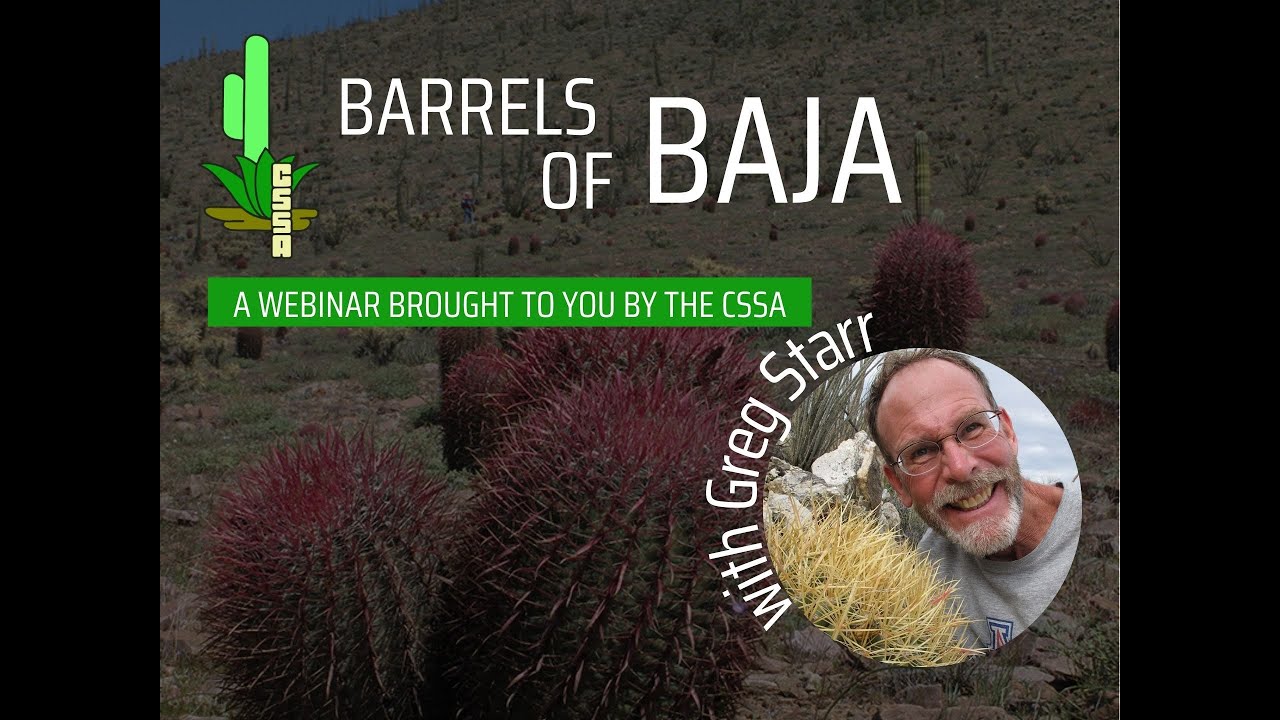 Barrels of Baja with Greg Starr - YouTube