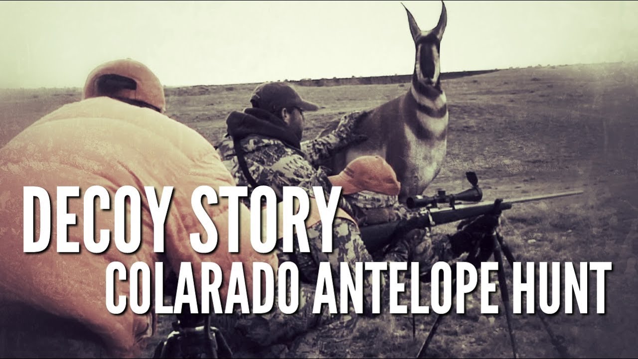 Colorado Antelope Hunt | Decoy Story - YouTube