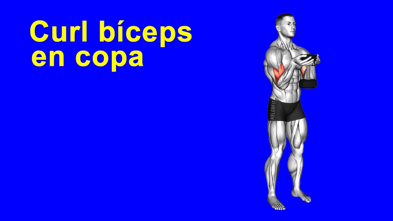 Ejercita el bíceps con la rutina curl bíceps en copa - YouTube