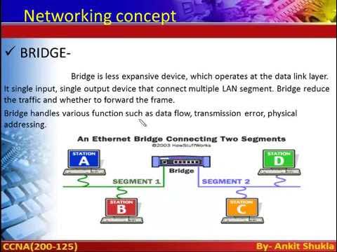 CCNA Lec 5 Networking Devices part 5 Repeater and Bridge - YouTube
