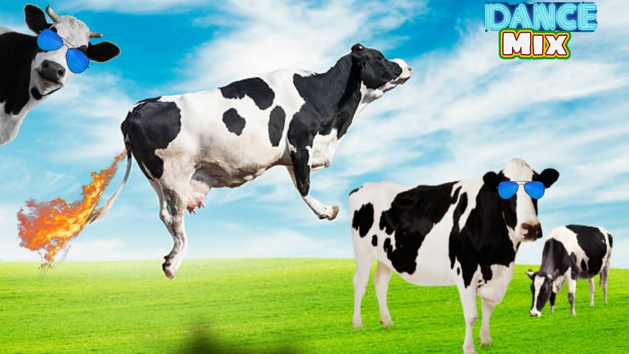 honey cow🐄 dance videos 2022 #funniest cow #cows dance - YouTube