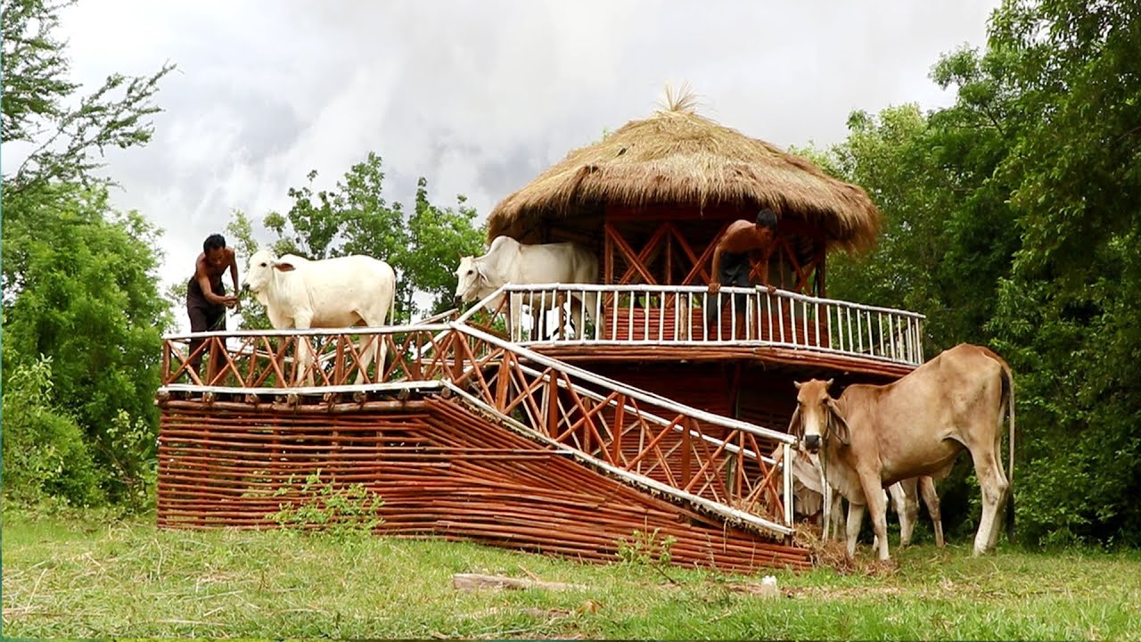121 Days To Build two stories bamboo hut grass roof for cows in jungle ...