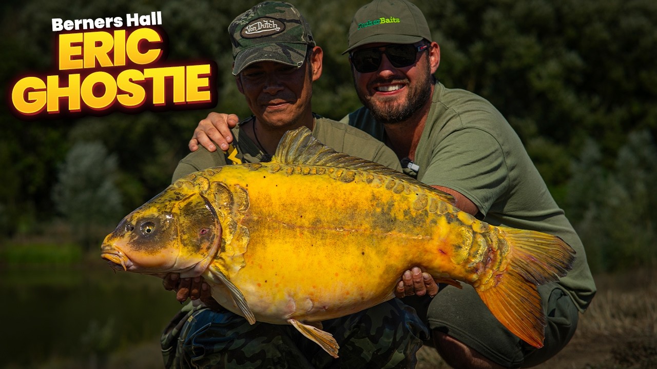 Berners Hall Giants: Greg’s "Eric" & Zac’s 50lb+ "Grumpy"! - YouTube