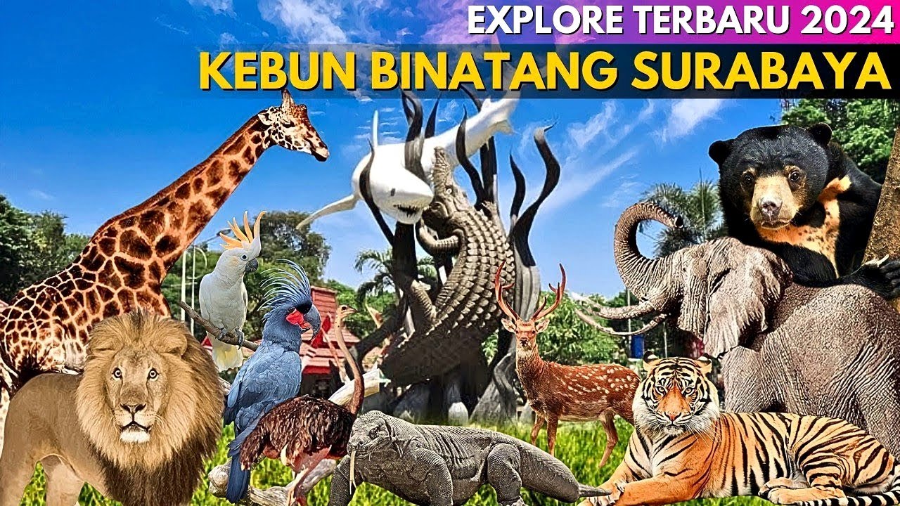 Terlengkap Di Asia Tenggara_Review Kebun Binatang Surabaya (KBS ZOO ...