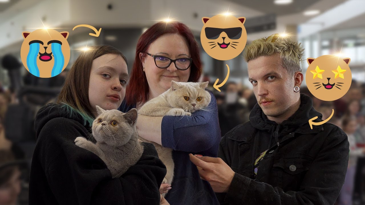 Cat Triumphs, Kitten Goodbyes and Baby Lasagna - YouTube