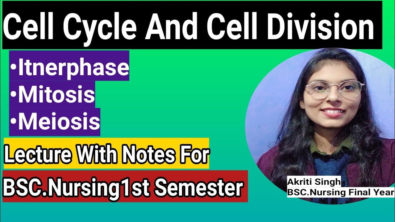 BSC.Nursing 1st Semester||Cell Cycle And Cell Division||Anatomy ...