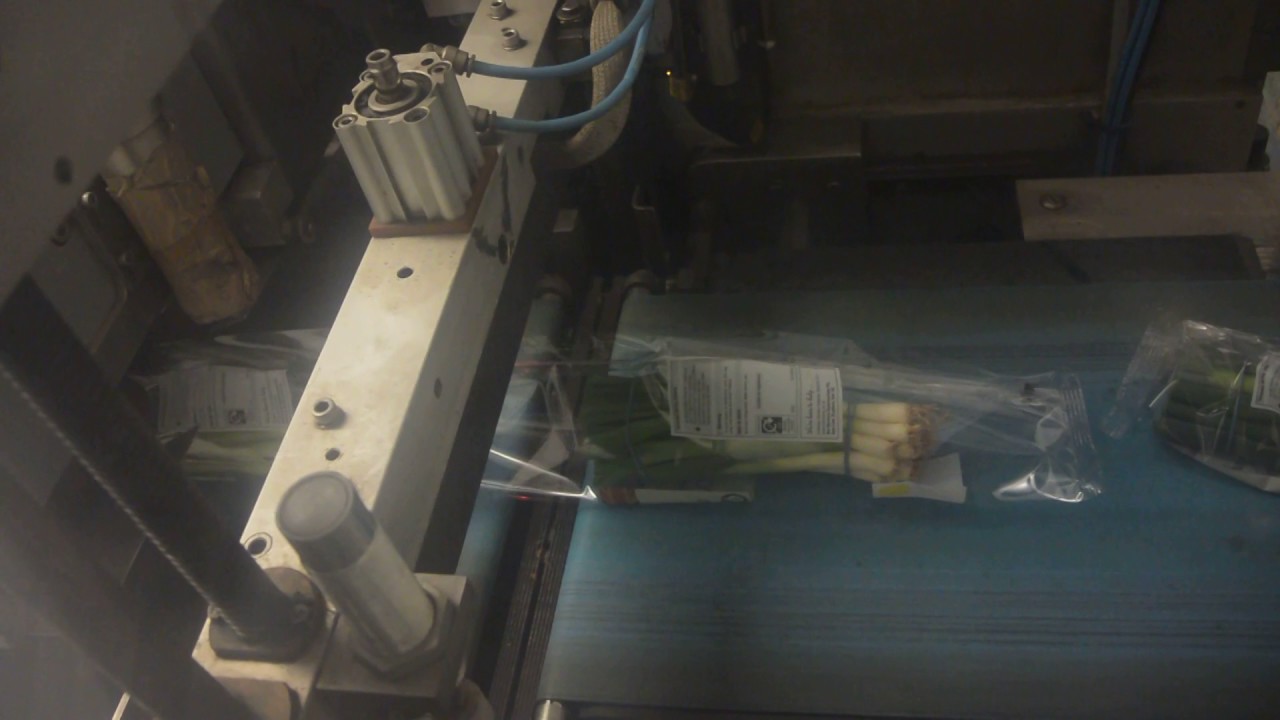 ilapak astra - YouTube