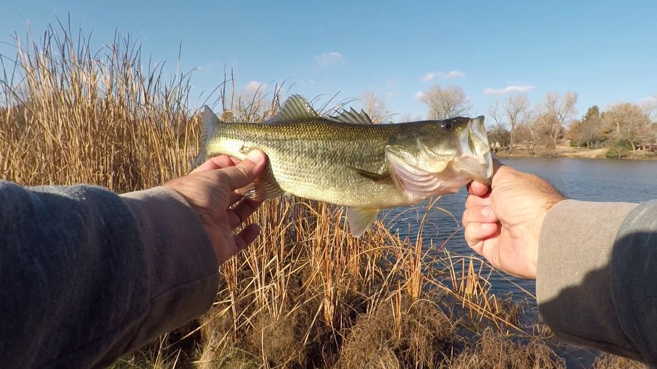 Nice day Fishing, ran in to a homeless shelter out in the woods. See ...