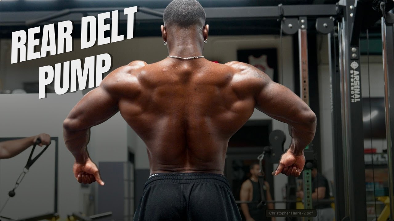 INTENSE BACK WORKOUT: REAR DELT FOCUSED - YouTube