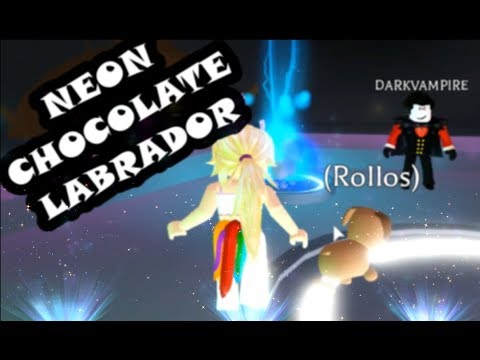 AWESOME NEON PET UPDATE CHOCOLATE LABRADOR SO CUTE ON ADOPT ME - YouTube