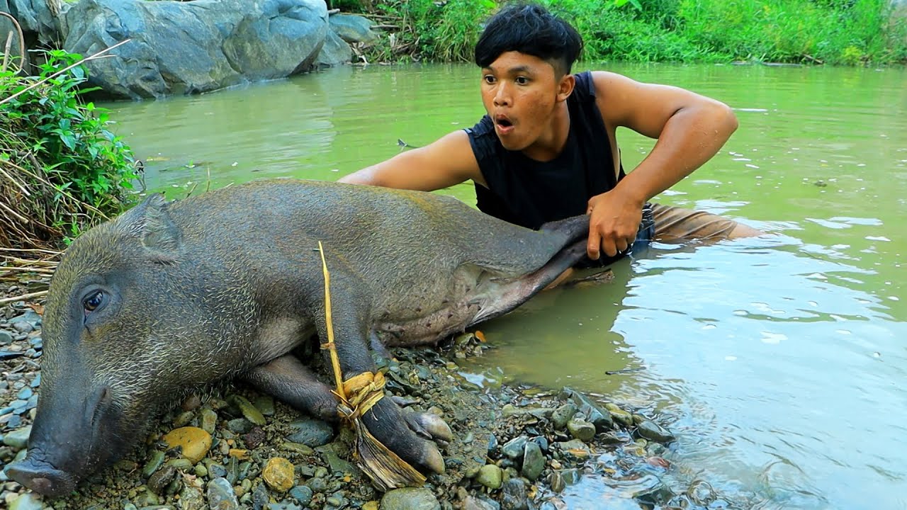Primitive Technology - Lucky met pig in water | Catch pig and cook for ...