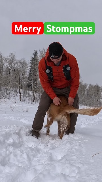 Nala Gives You The T Of Stomps 🎁 Youtube