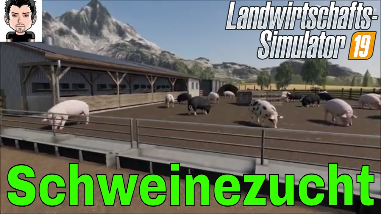 LS19 alles über Schweinezucht Landwirtschafts Simulator 19 FS19 #MZ80 ...