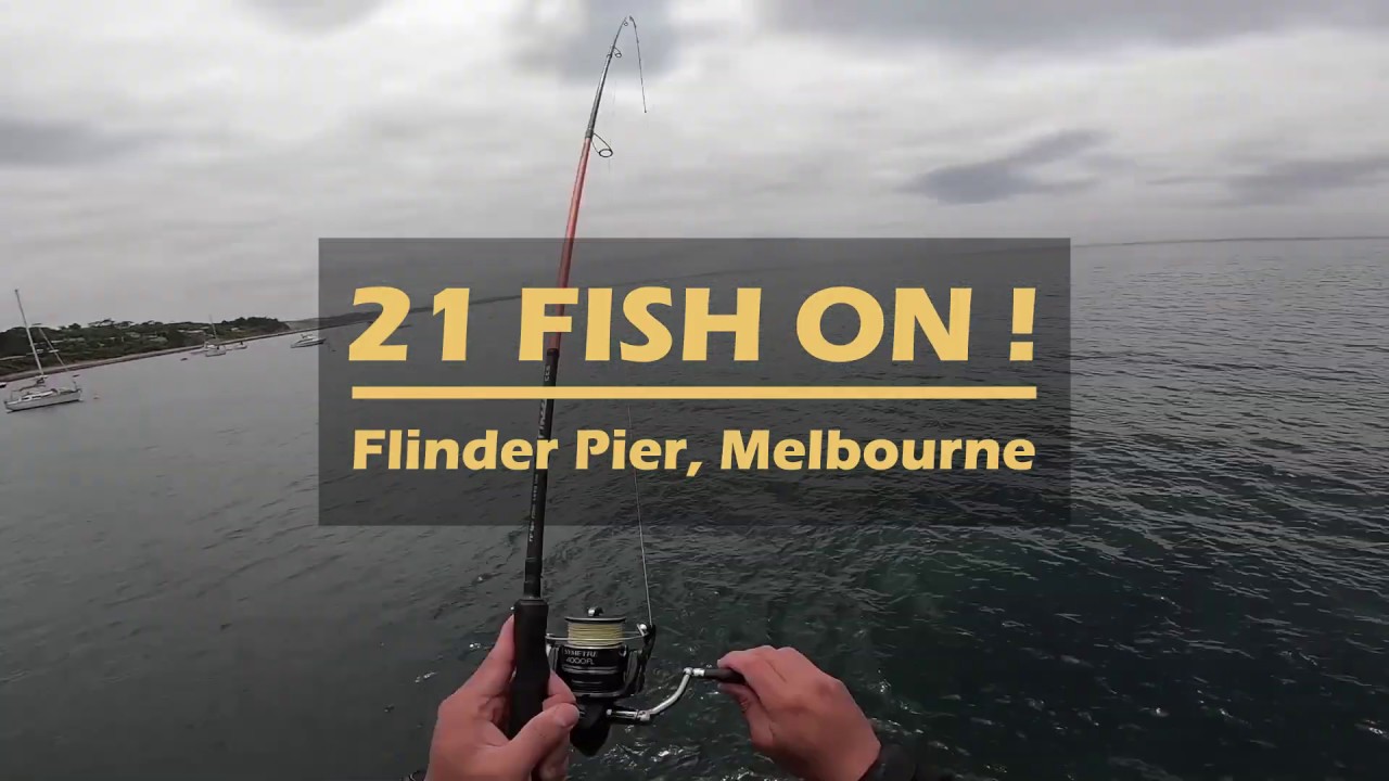 Flinders Pier Fishing and Squid - YouTube