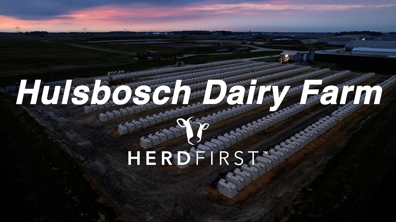 Hulsbosch Dairy Farm HerdFirst Testimonial - YouTube