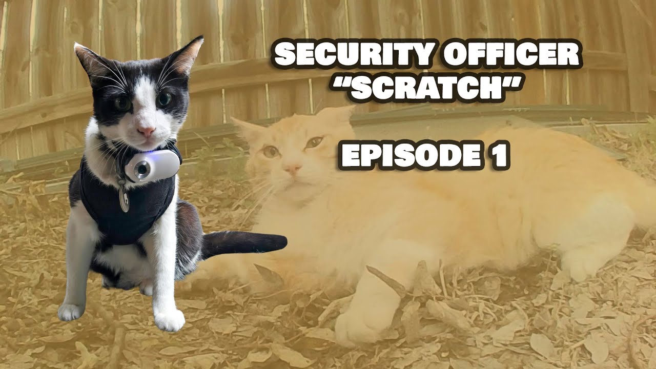 Scratch on Patrol - E1 - YouTube