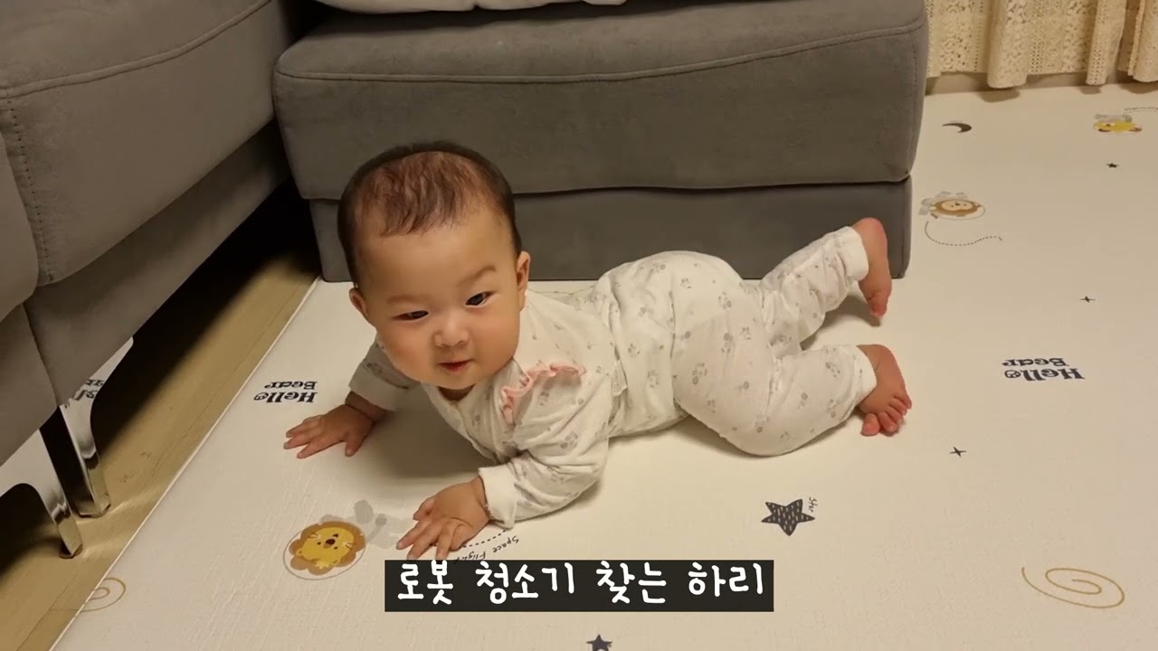 0235. 22 12 03 새벽에 깬 하리 / 로봇 청소기에 관심이 많은 하리 - YouTube