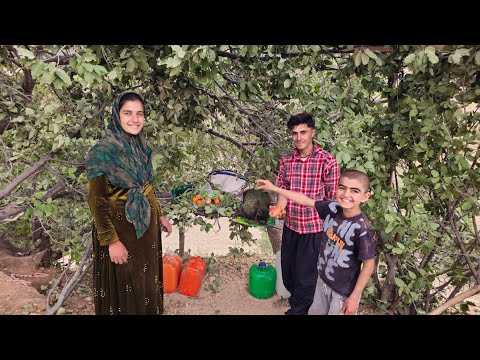 We Finally Finished Building Our Mountain Shade Shelter! 🏔️💧 | Family Farm Life