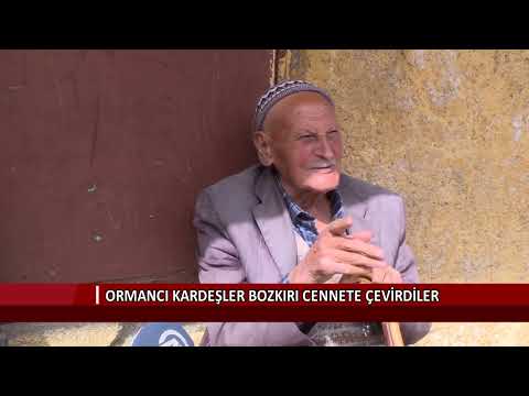 Ormancı kardeşler bozkırı cennete çevirdi