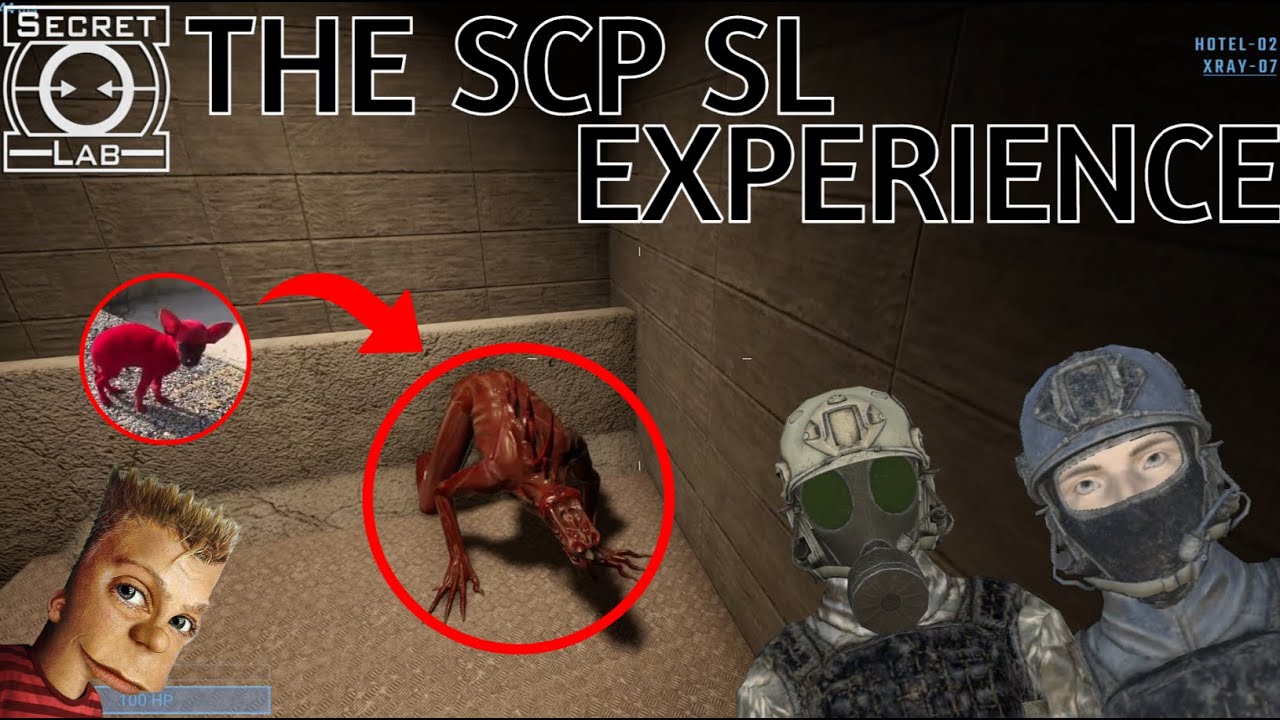 THE SCP SL EXPERIENCE [SCP: Secret Laboratory] - YouTube