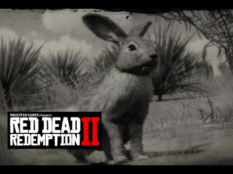 Red Dead Redemption 2 - Perfect Rabbit pelt tips - YouTube