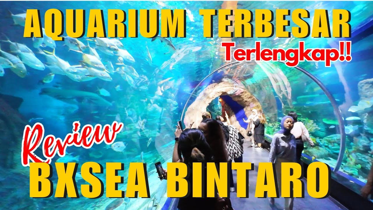 AQUARIUM BXSEA BINTARO TERBESAR DAN TERLENGKAP DI INDONESIA! - YouTube
