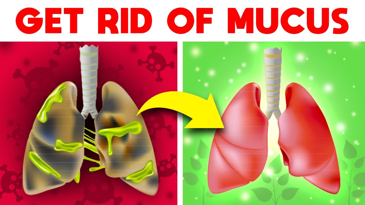 Top 10 Foods To Clear Mucus And Cleanse Your Lungs Naturally - YouTube