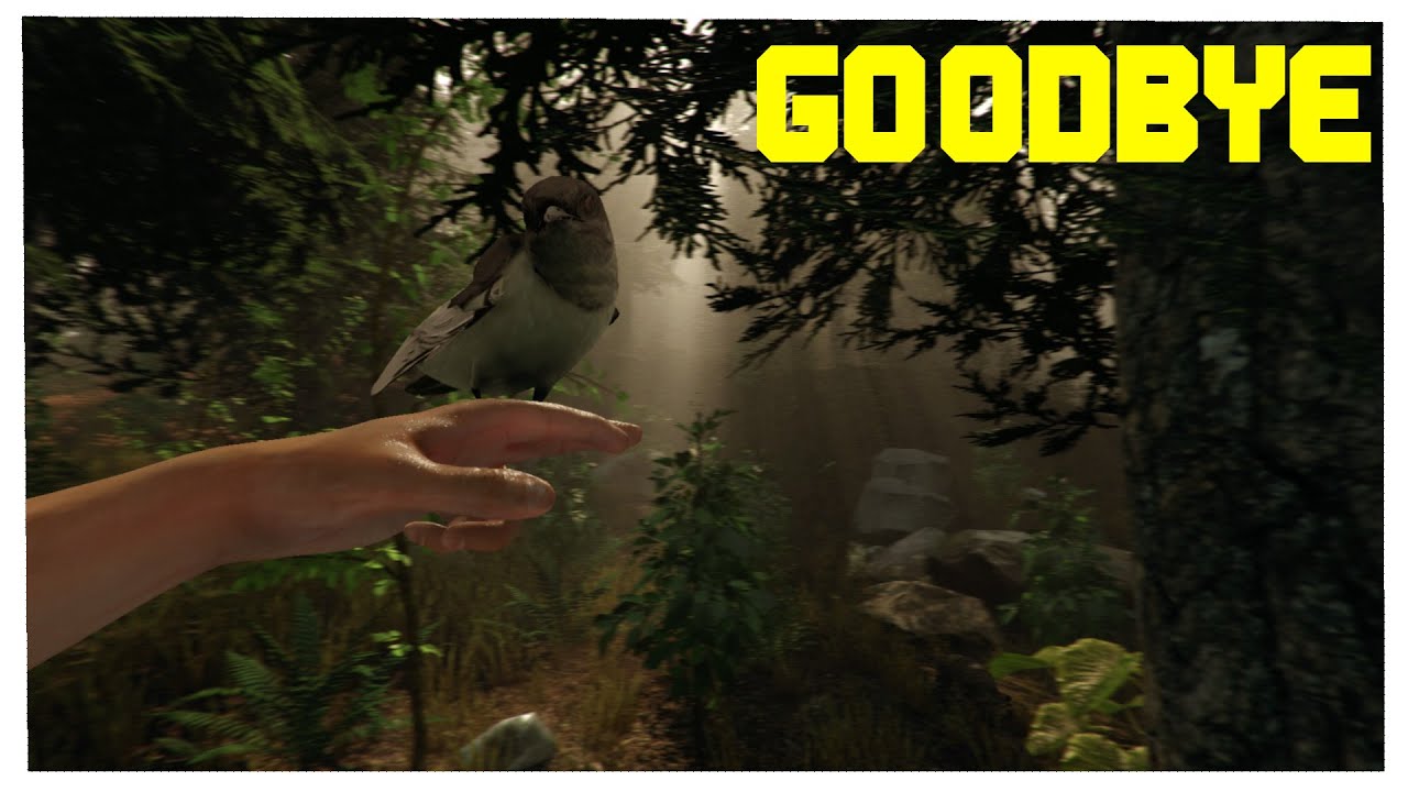 Goodbye The Forest... - YouTube