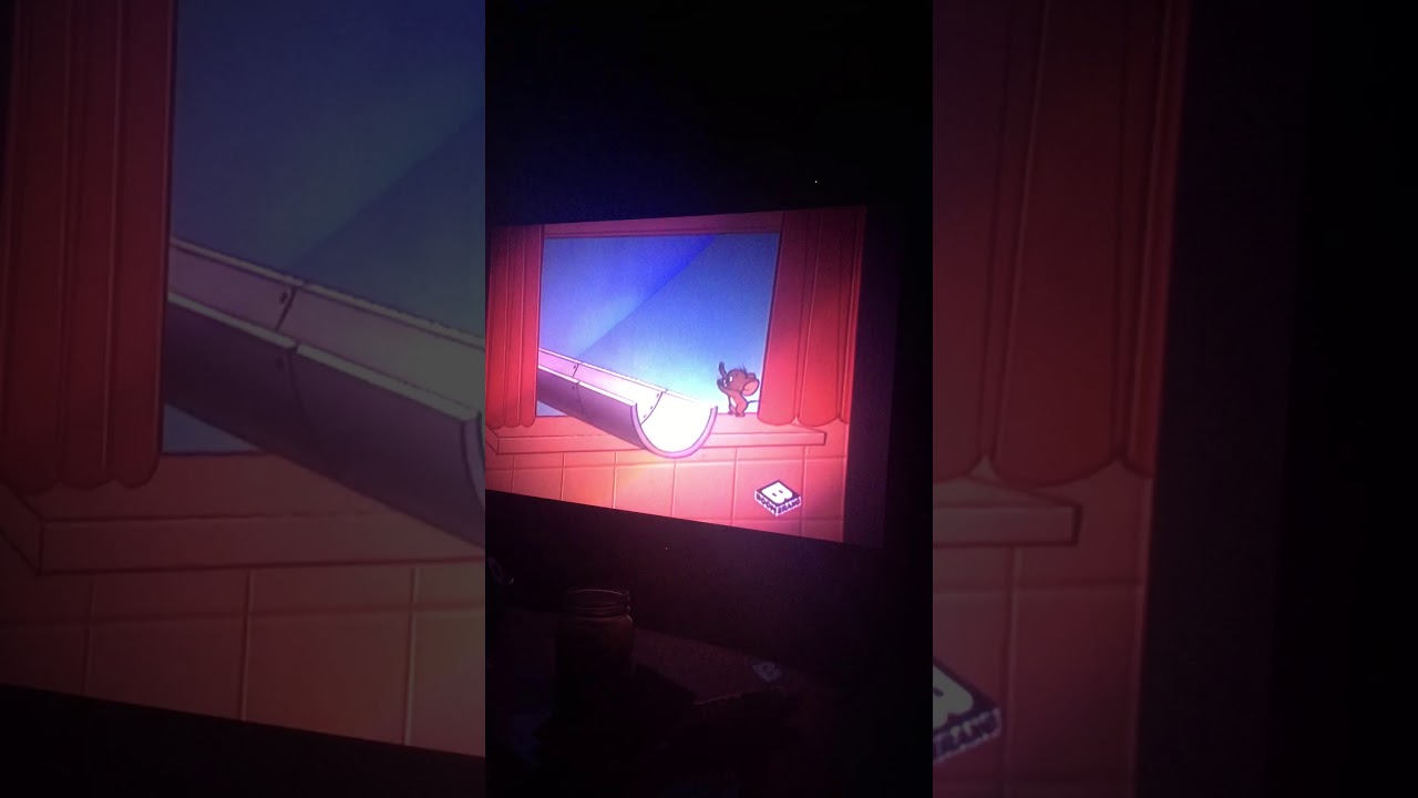 Tom & Jerry Shark in the House - YouTube