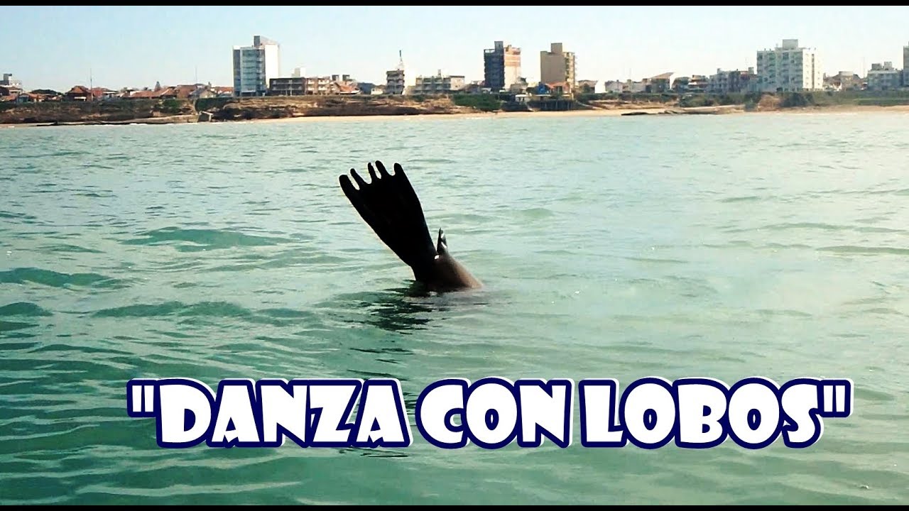 "DANZA CON LOBOS" - YouTube