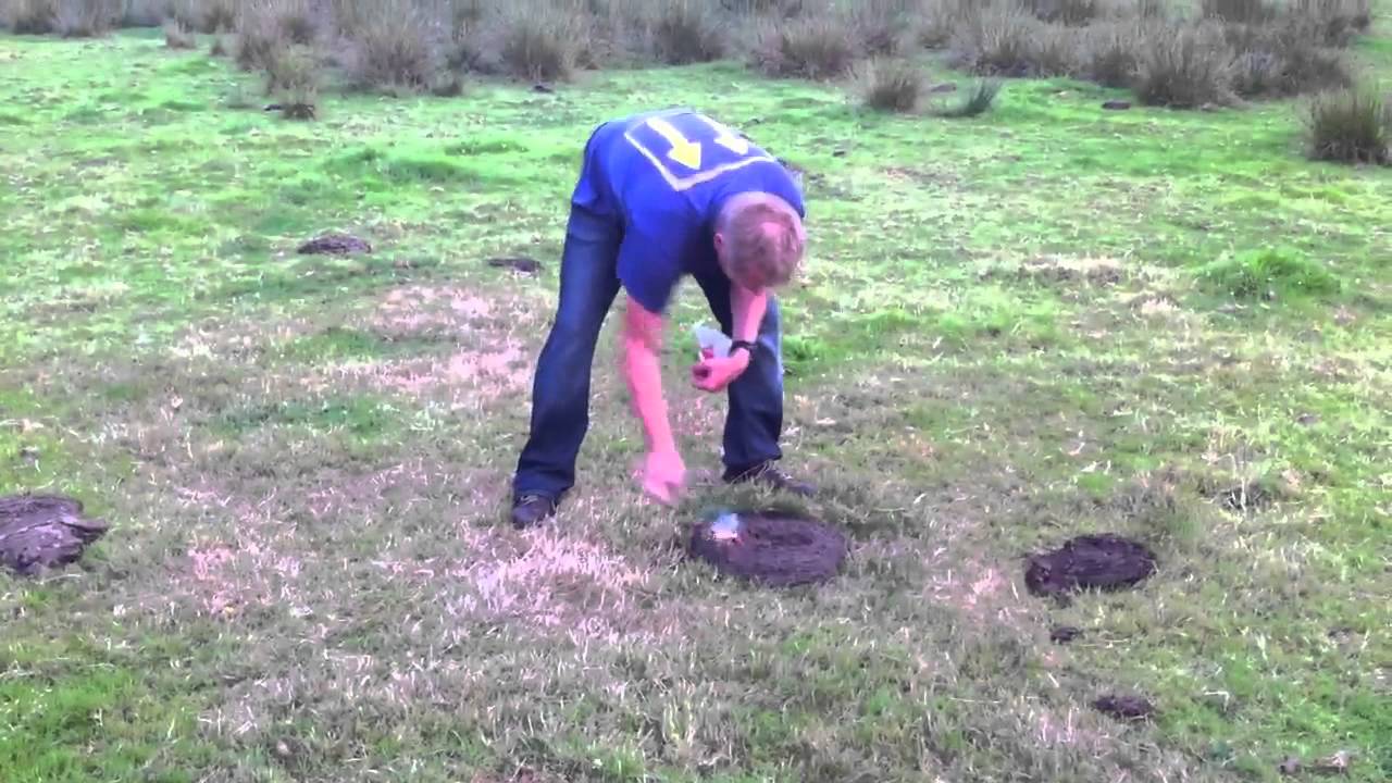 Exploding cowpat - YouTube