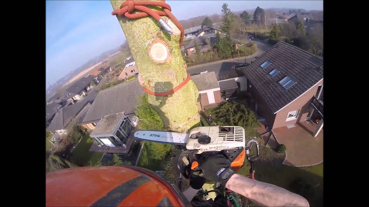 Channel-Trailer Treewalker Production - YouTube